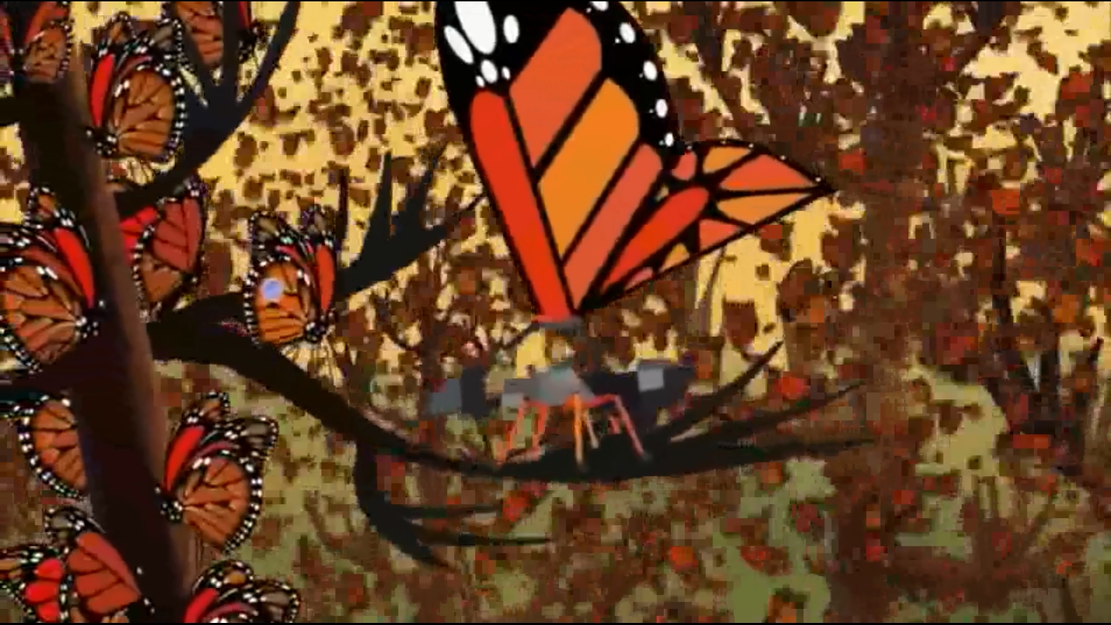 Monarch butterfly (Le papillon Monarque)